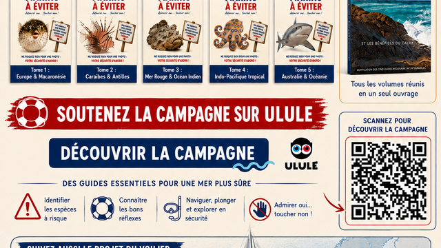 Expédition Petit Prince : L'Océan en jeu & les guides de mer - Ulule
