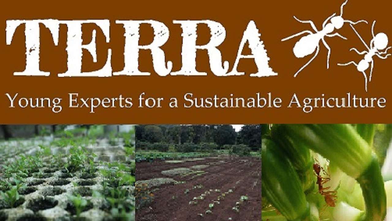 TERRA