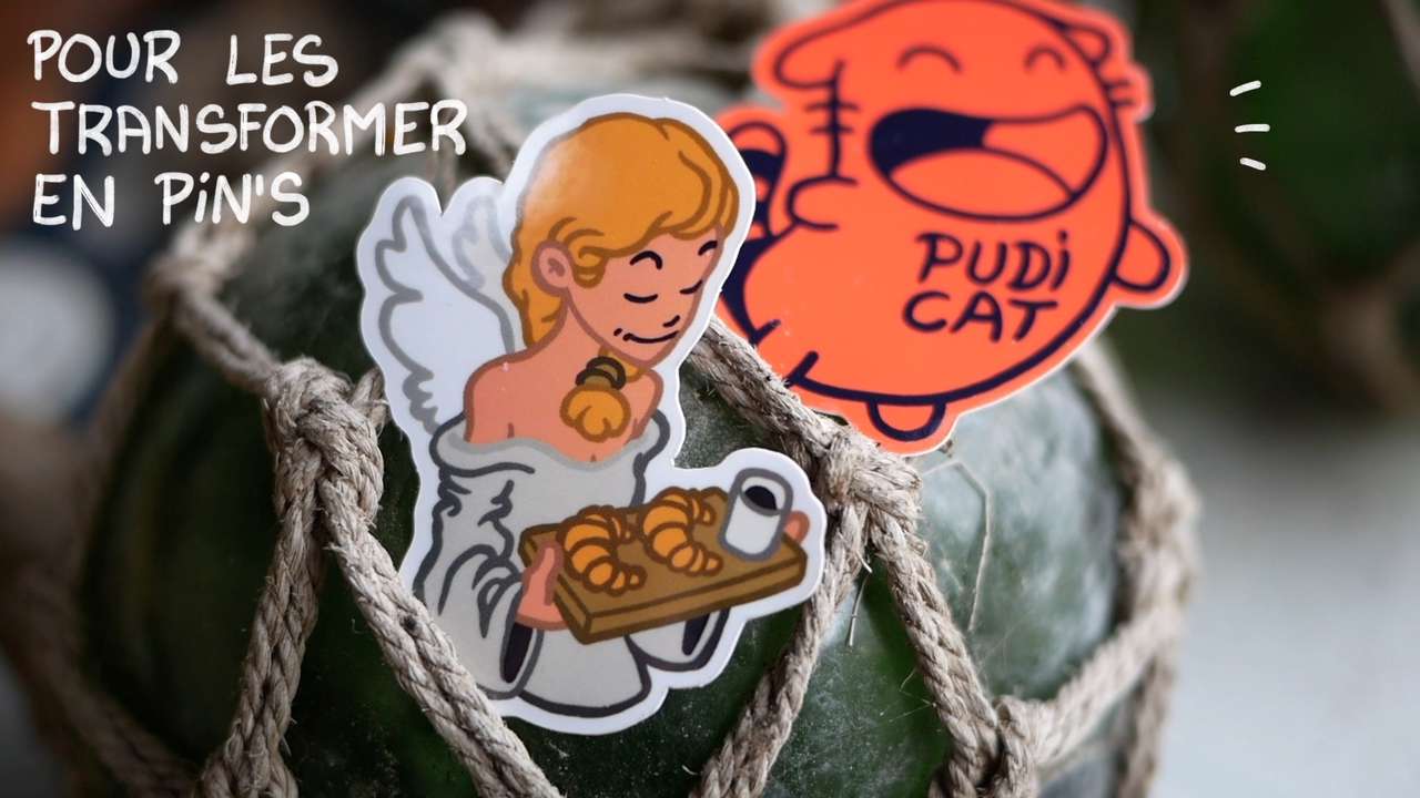 Les pin's de la Muse et de Pudicat - Ulule