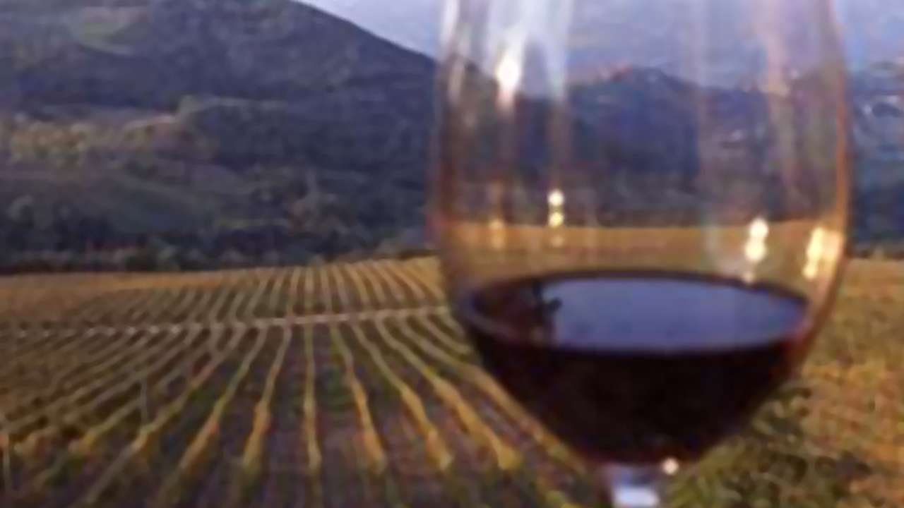 "ARMONIA" - The tuning fork between producer and consumer!