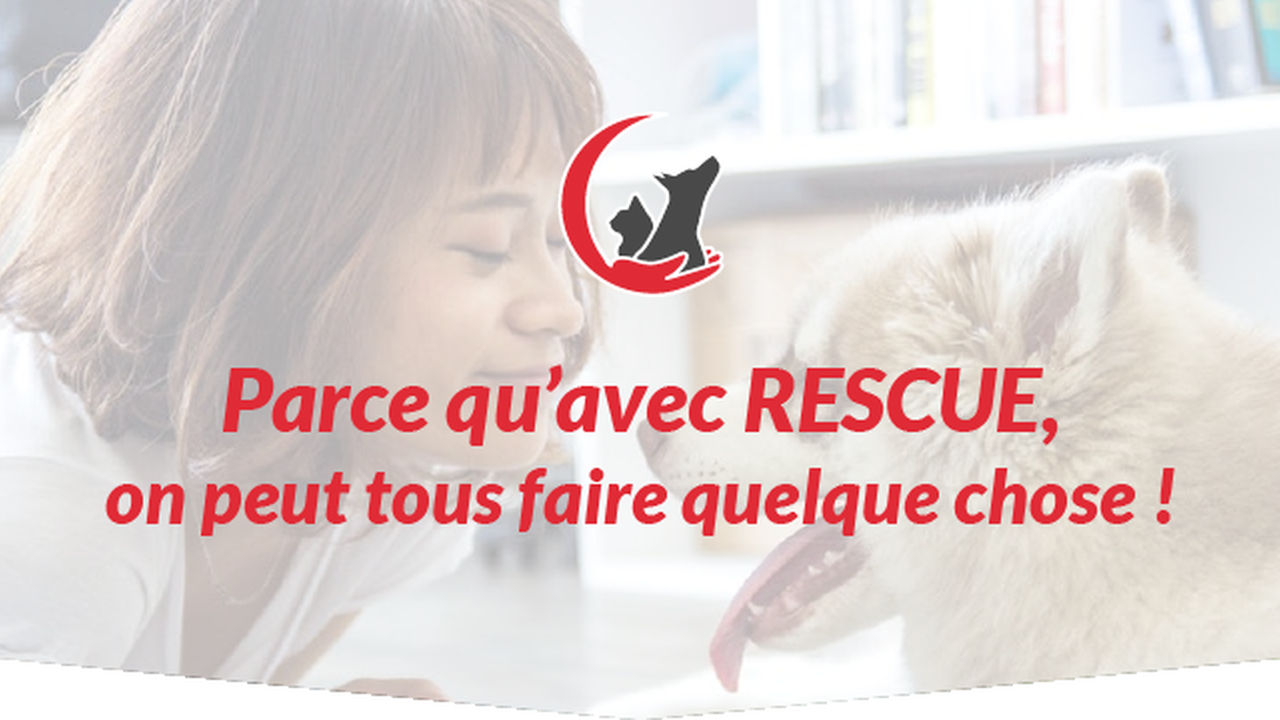 RESCUE - Adoption et protection animale - Ulule