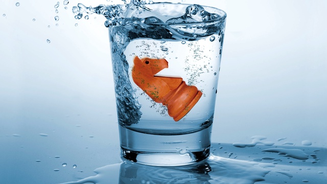 LE SACRIFICE DU CHEVAL