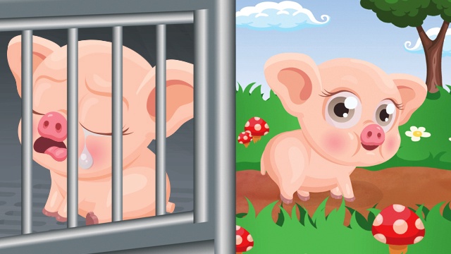 Océane Robert - Ulule