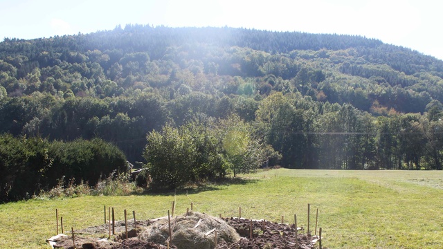 michelemuller - Ulule