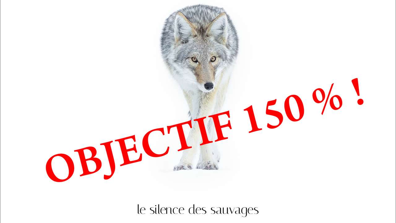 Livre "Le Silence des Sauvages"