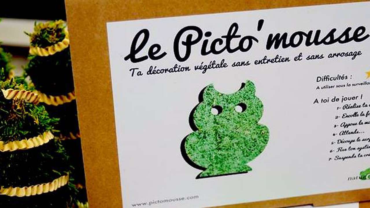 PICTO'MOUSSE du vert même en hiver