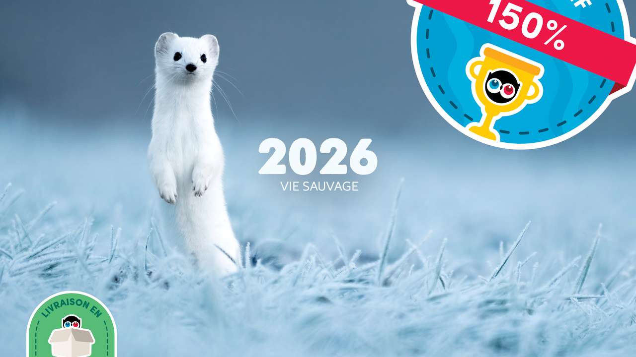 Calendrier 2026 Faune Sauvage - Ulule