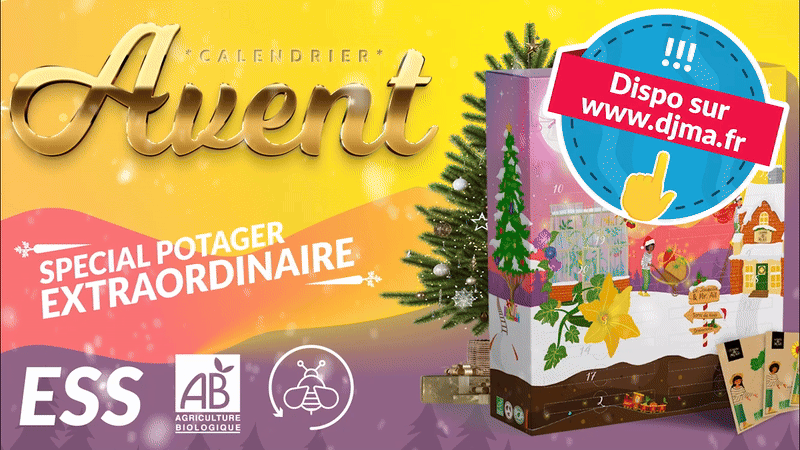 Calendrier de l'avent spécial potager extraordinaire