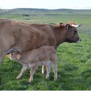 jaco-munication - Ulule