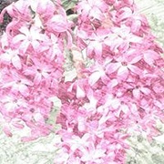 Louisette Martin - Ulule