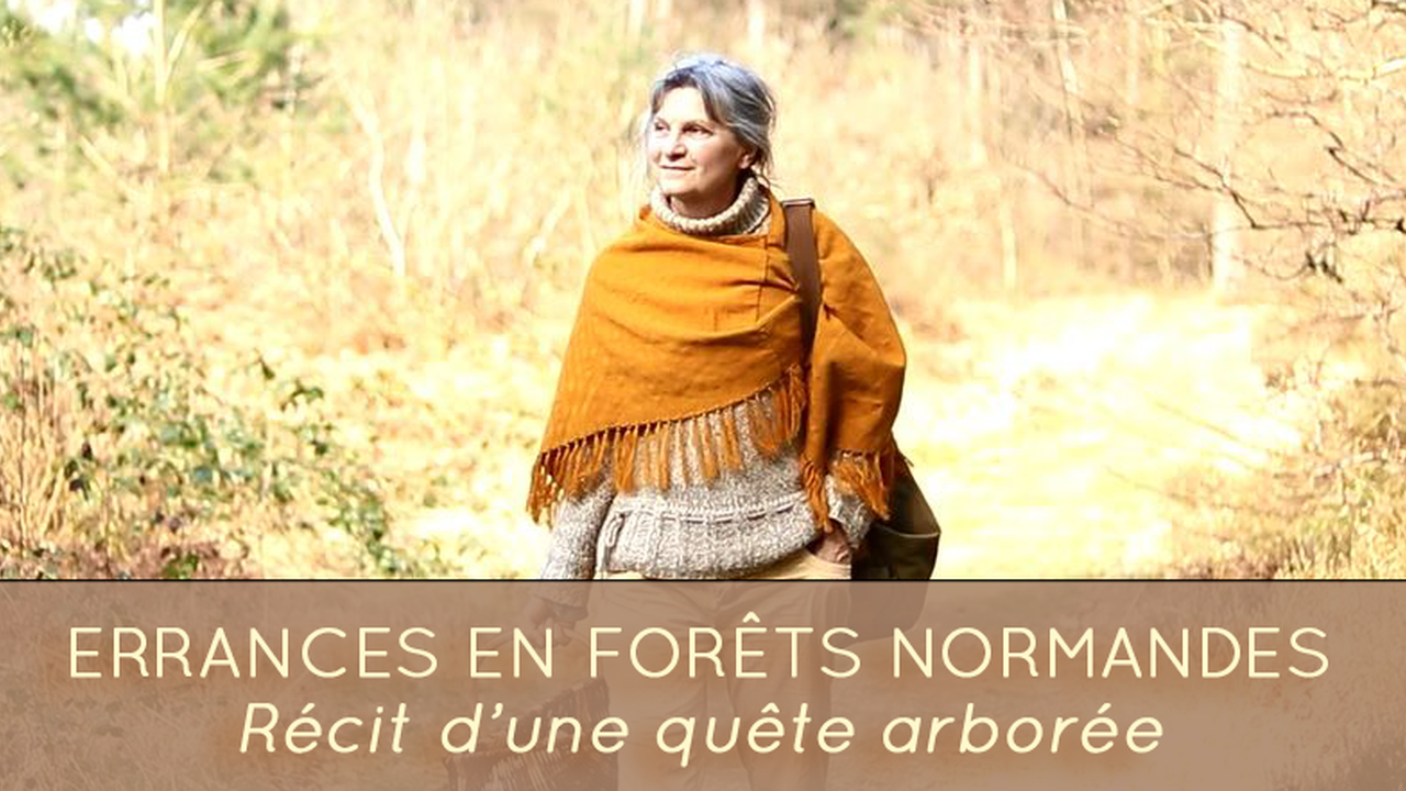 Errances en forêts normandes - Ulule