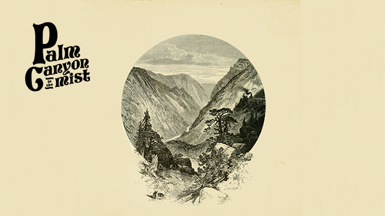 PALM - Canyon in the Mist