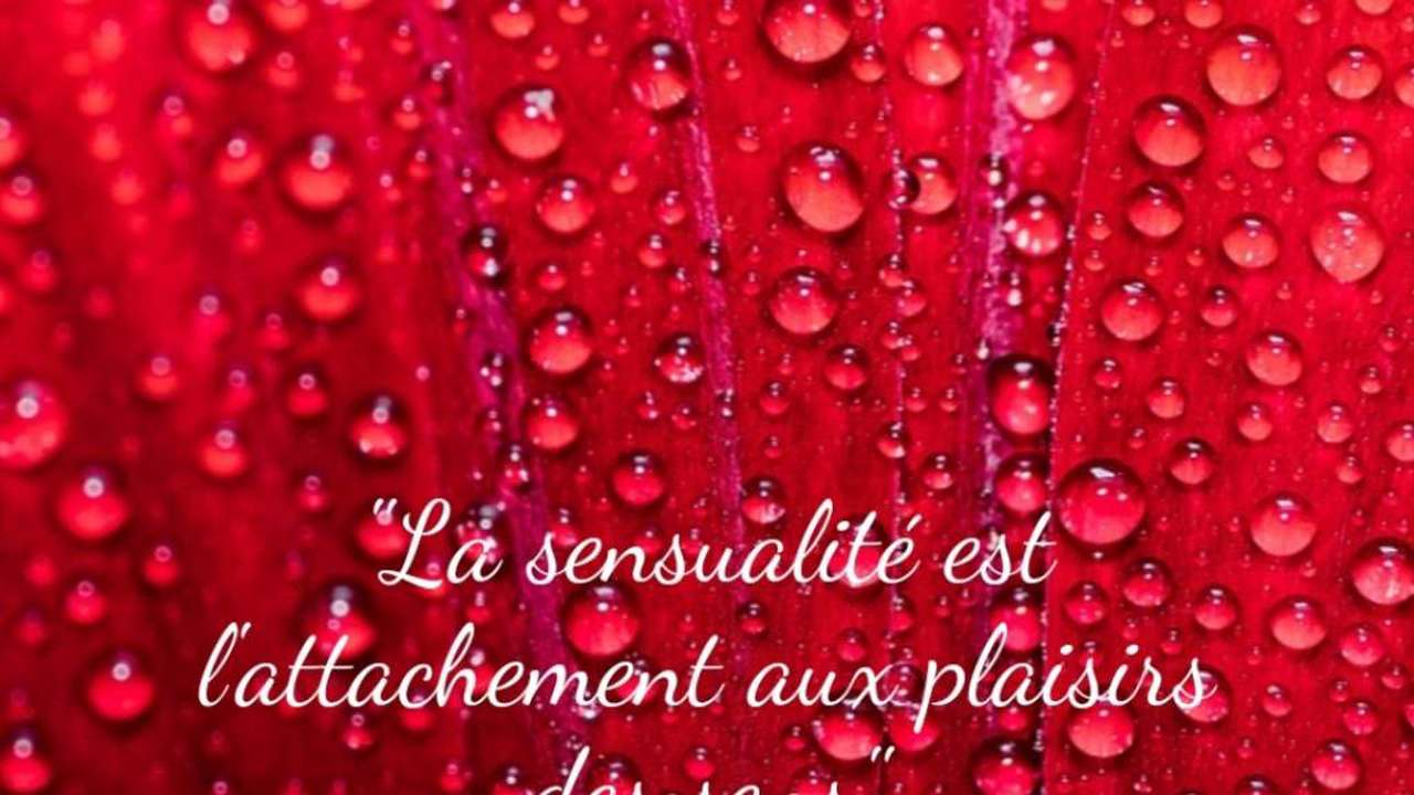 Création boutique en ligne regroupant 4 thématiques