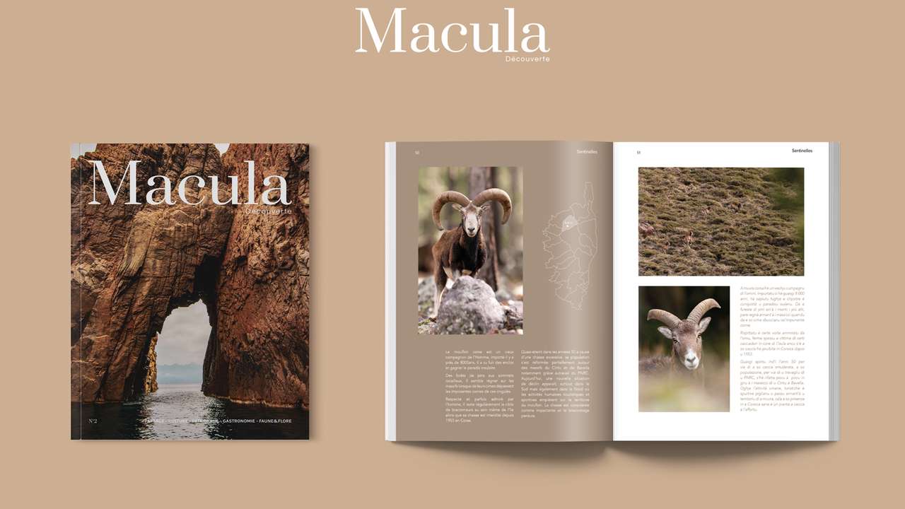 Macula Découverte Magazine