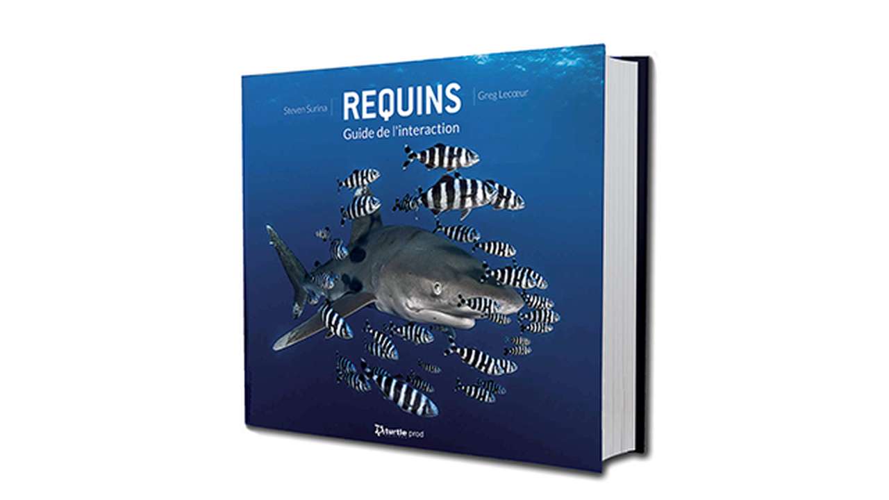 REQUINS - Ulule
