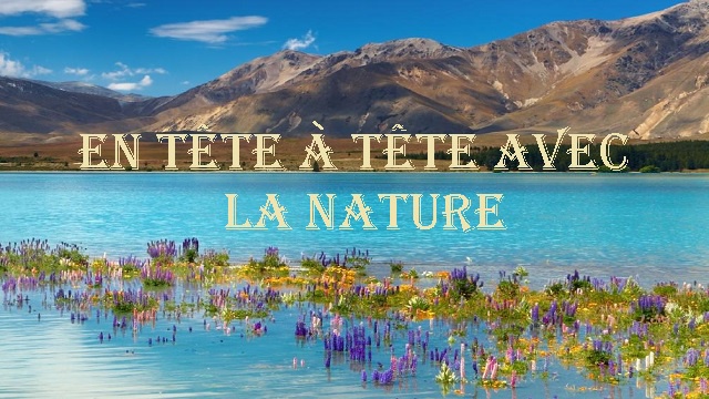 En tête à tête avec la Nature - Ulule