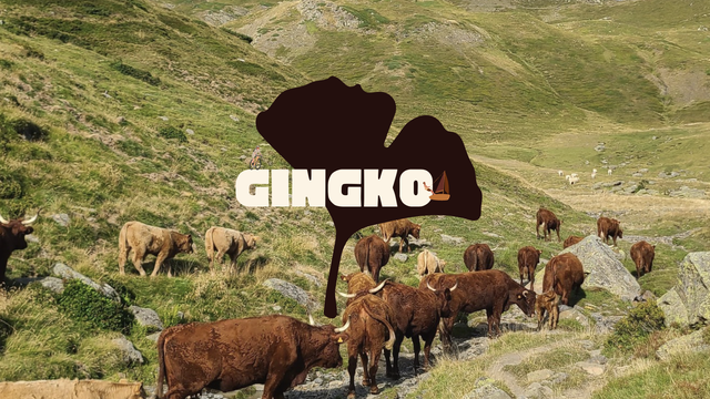 Gingko, les visages de la transition du monde agricole