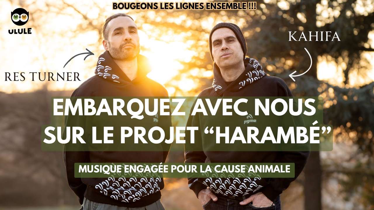 Harambé - Le militantisme par la musique ! - Ulule