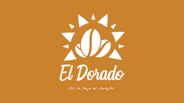 Un coffee shop de spécialité au cœur de Cahors - Ulule