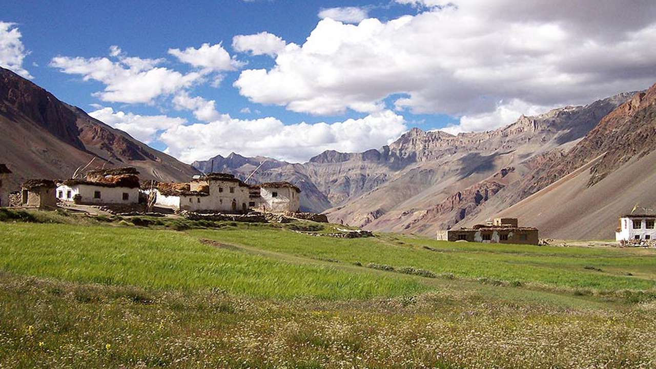 Plantation médicinale au "Petit Tibet"