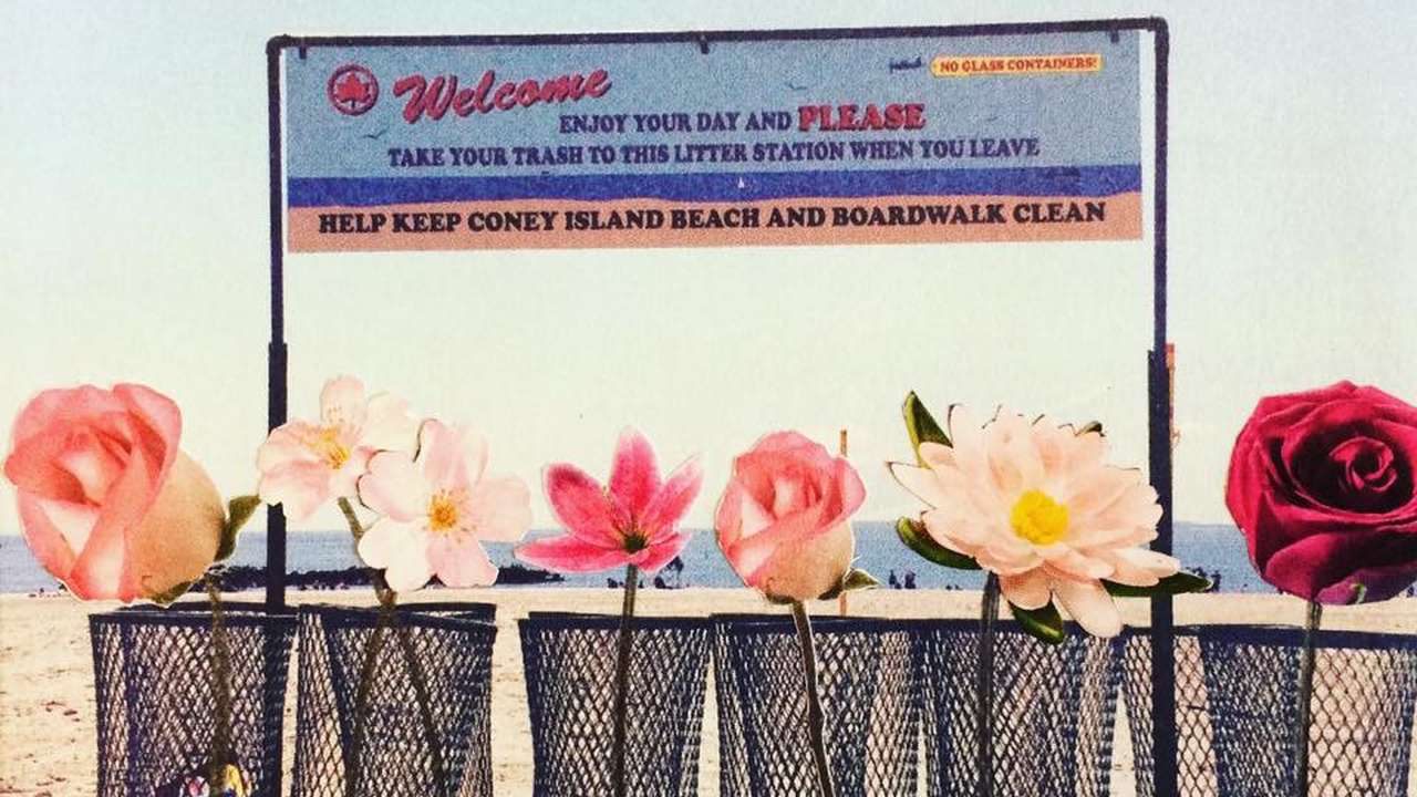 Poezen met vleugels en andere alledaagse waanzin