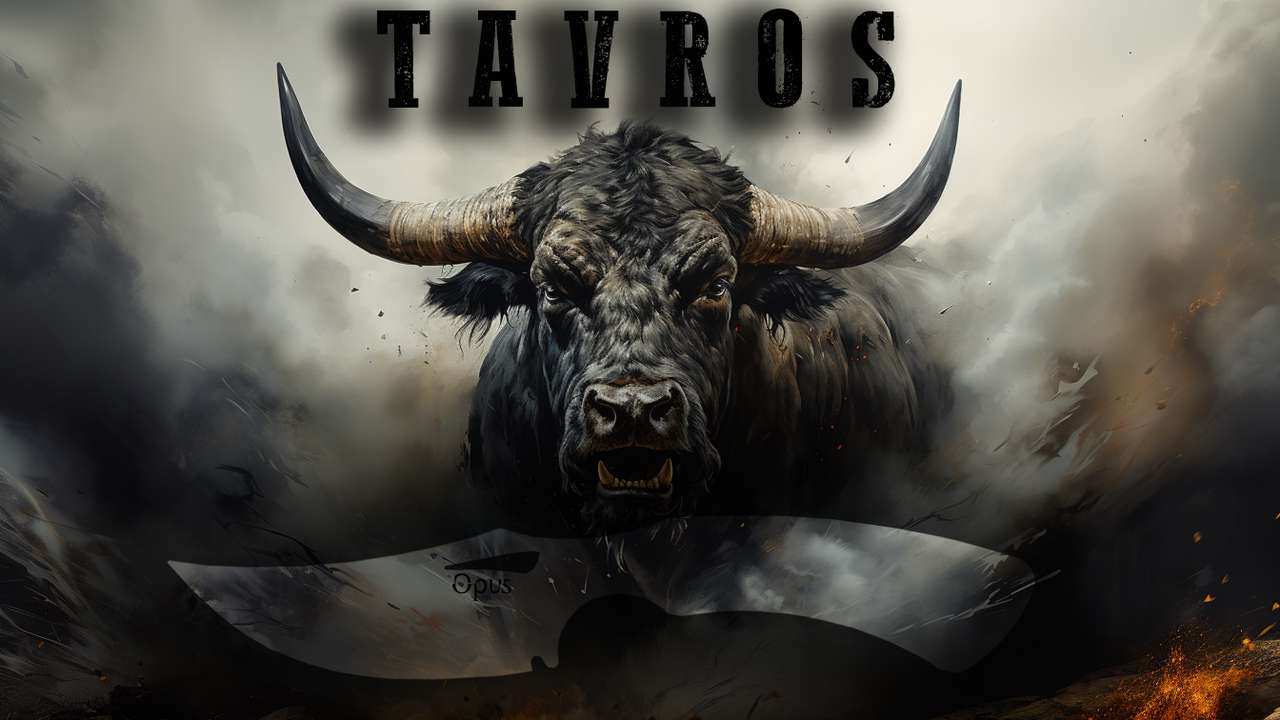 Tavros : un allié du quotidien - Ulule