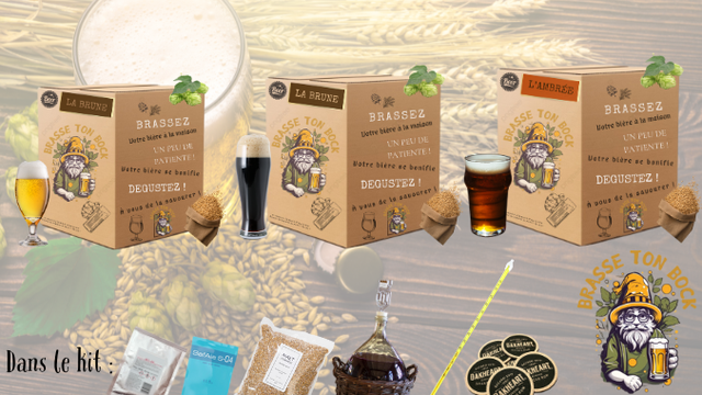 L'Art de Brasser : Votre Kit, Votre Bière - Ulule