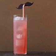 Anaïs Brizon - Ulule