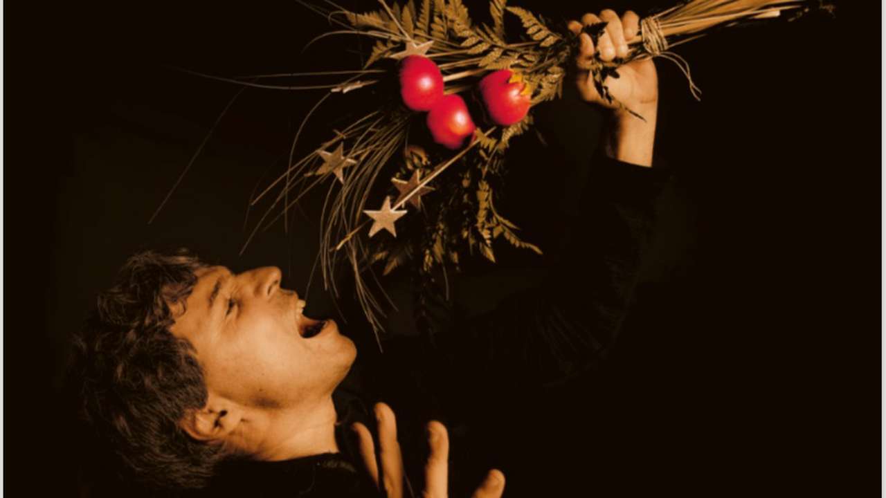 Sylvain Reverte - Nouvel Album "Des pommes et des étoiles"