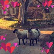 Mathilde Stenne - Ulule