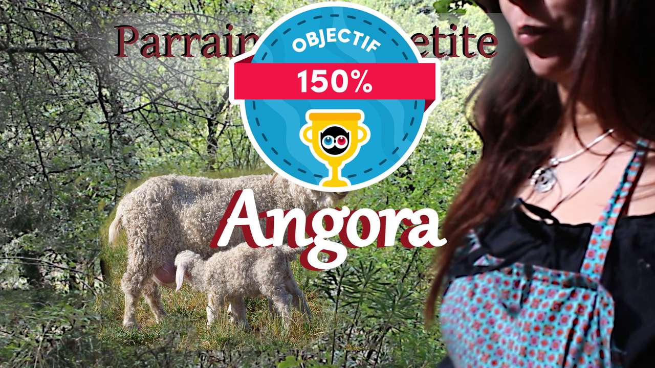 Parraine une chèvre angora et reçois des cadeaux laineux
