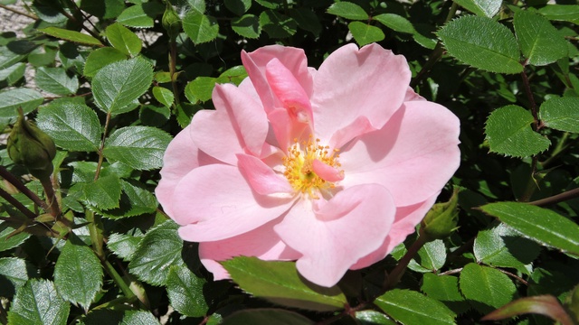 rieupatricia - Ulule