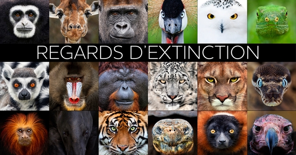 Pour que le livre Regards d'Extinction voie le jour