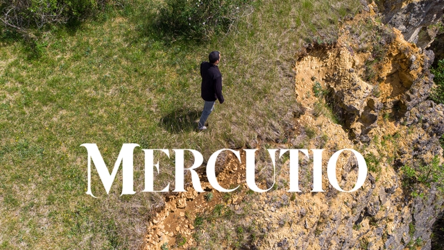 MERCUTIO : 1er ALBUM "Plus qu'un pas pour le vertige" - Ulule