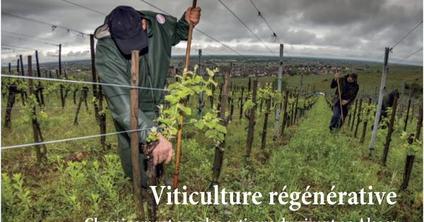 Viticulture régénératrice en Alsace - Ulule