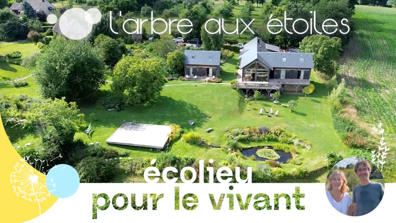 L’arbre aux étoiles vous embarque