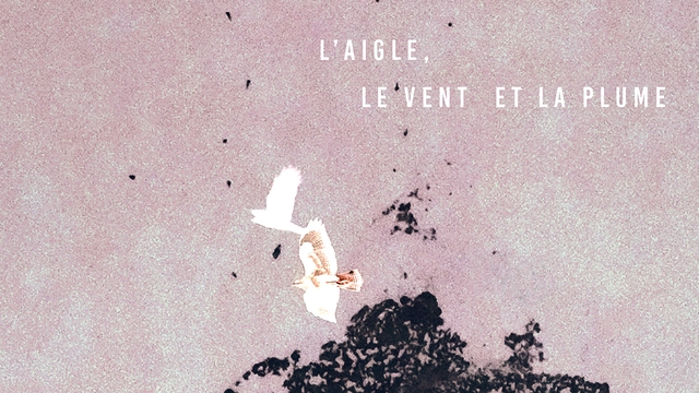 L'aigle, le vent et la plume