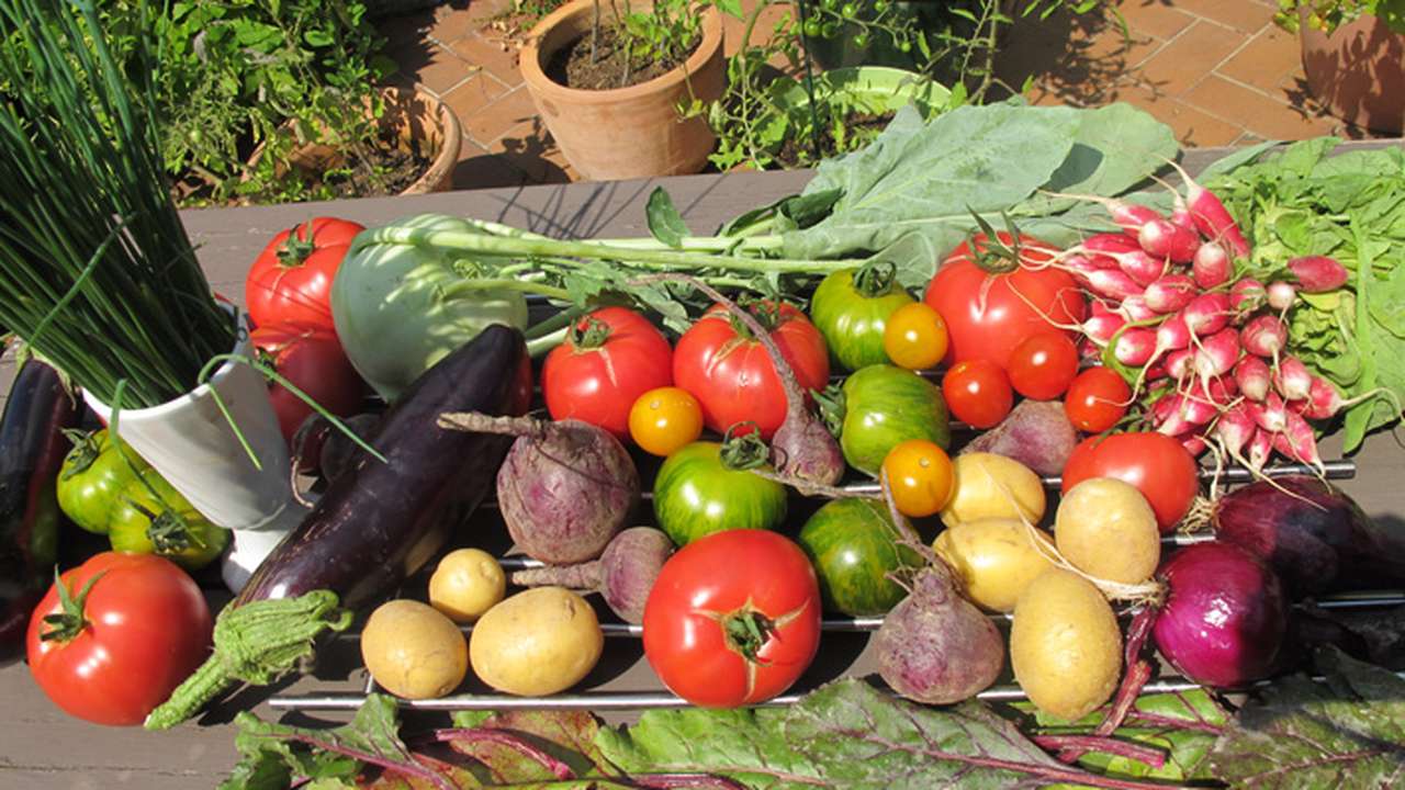 Finançons le redéveloppement de Bonheur Nature Saint Vit - Ulule