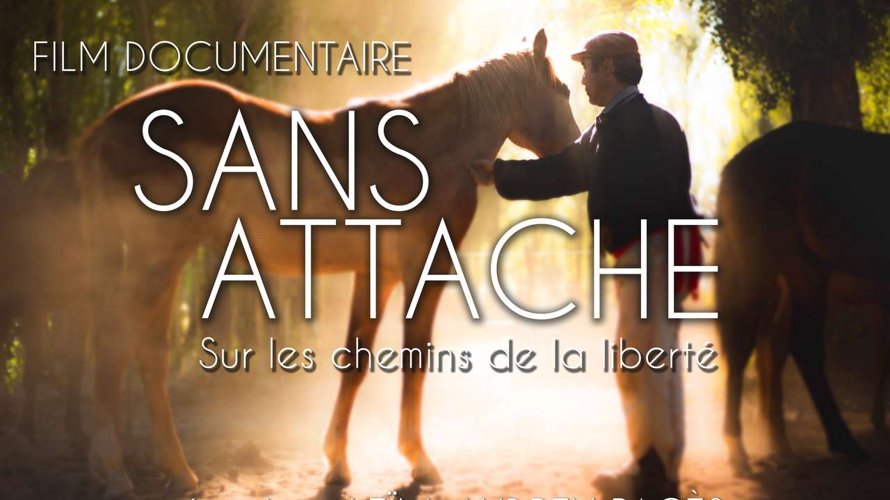 "Sans attache", des chevaux et des humains libérés - Ulule