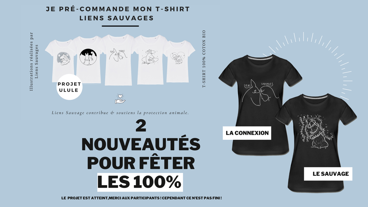 Création de la marque LIENS SAUVAGES