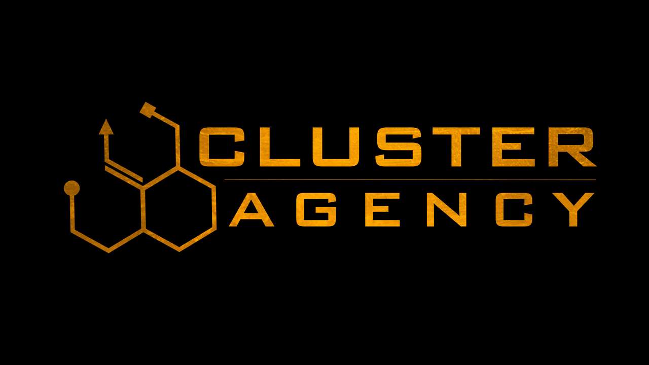 Cluster Agency - Ulule
