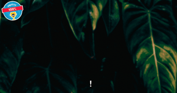 Children of the Sun : l'intégrale de la trilogie romantasy - Ulule