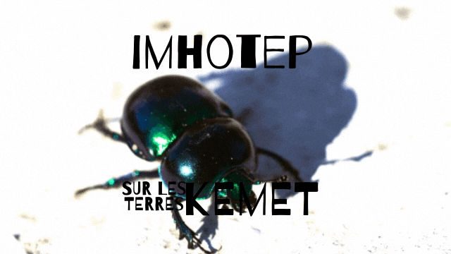 Moky Haddock - Ulule