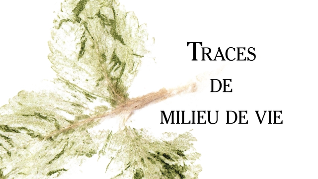 Traces de milieu de vie
