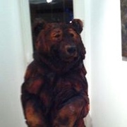 Yann Richard du Montellier - Ulule