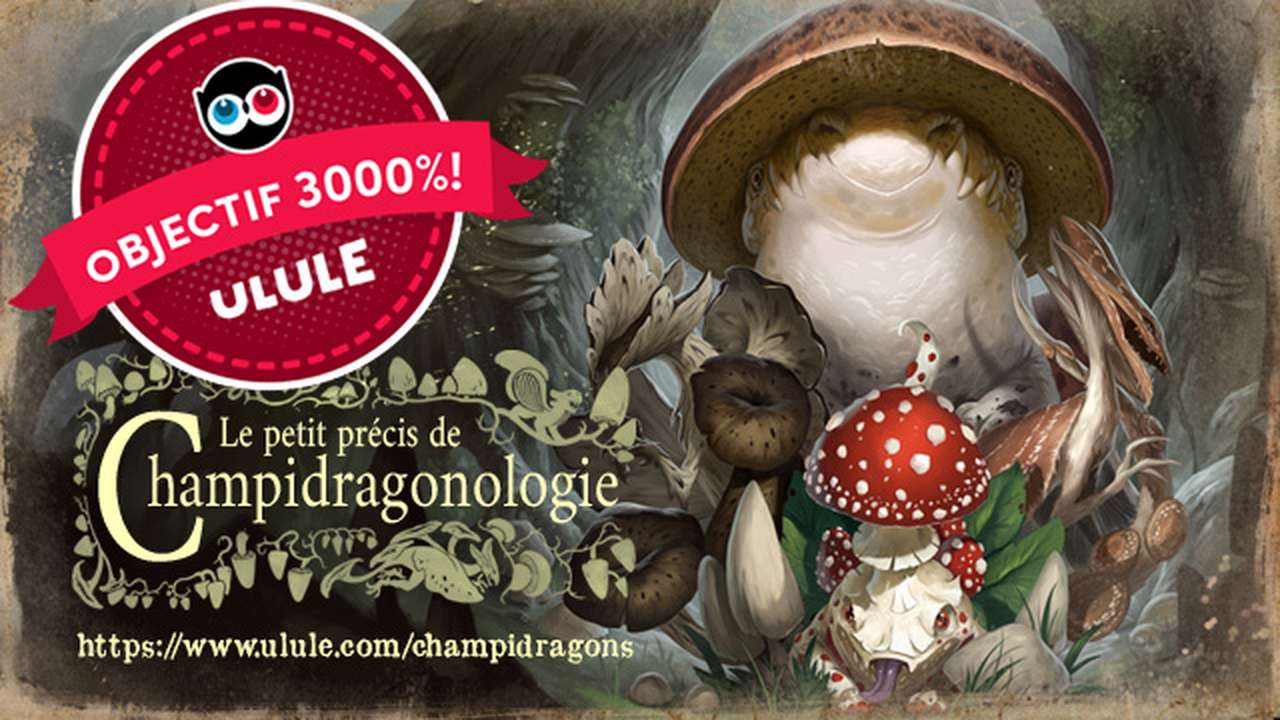 The little book about Dracofungology