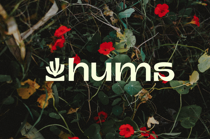 Hums, les kits à cultiver - Ulule