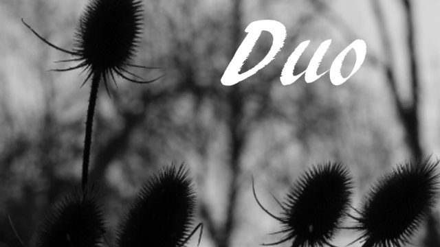 Elisabeth et Clovis ... enfin la suite de DUO !!! - Ulule