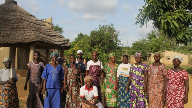Projet Karité au Bénin