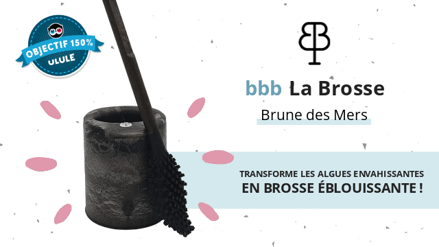 bbb La Brosse 2.0 en bioplastique made in France - Ulule